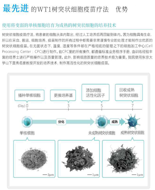 【第4代免疫疗法】日本抗癌新技术-肿瘤抗原WT-1树突细胞疗法（DC疫苗疗法） - 传祺国际健康