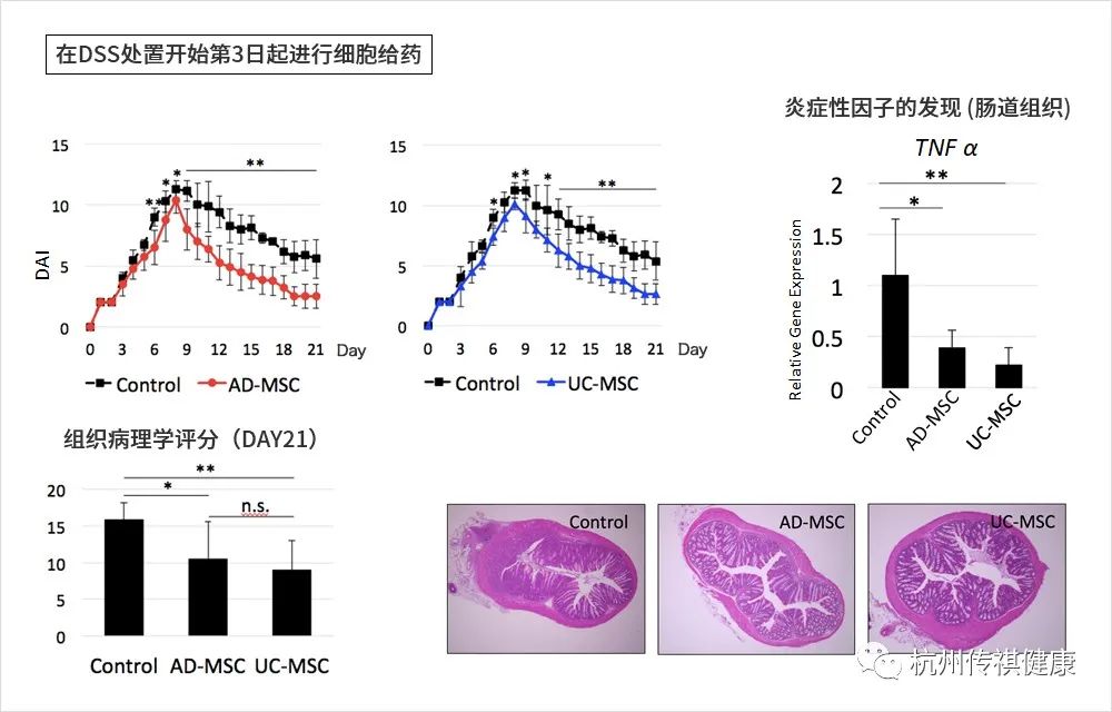 【详解】日本最大干细胞技术研发中心（BMS）一直走在全球顶尖行列 - 传祺国际健康