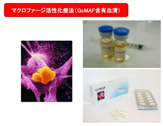 日本最新的GCMAF巨噬细胞活性疗法研究技术综合介绍 - 传祺国际健康