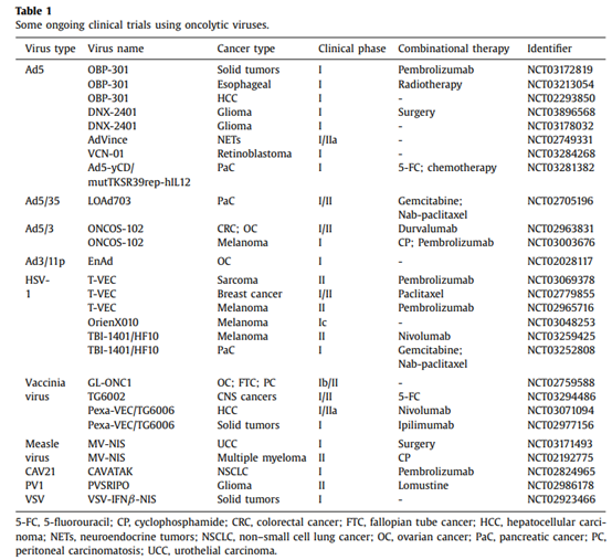 溶瘤病毒疗法的挑战 - 传祺国际健康